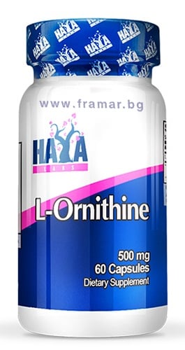 L-ОРНИТИН 500 мг * 60 капсули | NewAge.bg